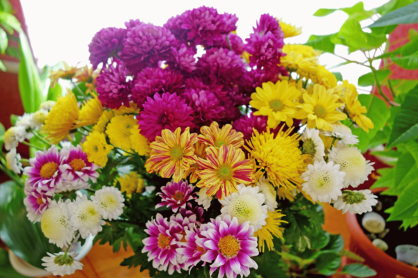 Unveiling Splendor - The Magic of Extra Large Bouquets - Broulim's Floral